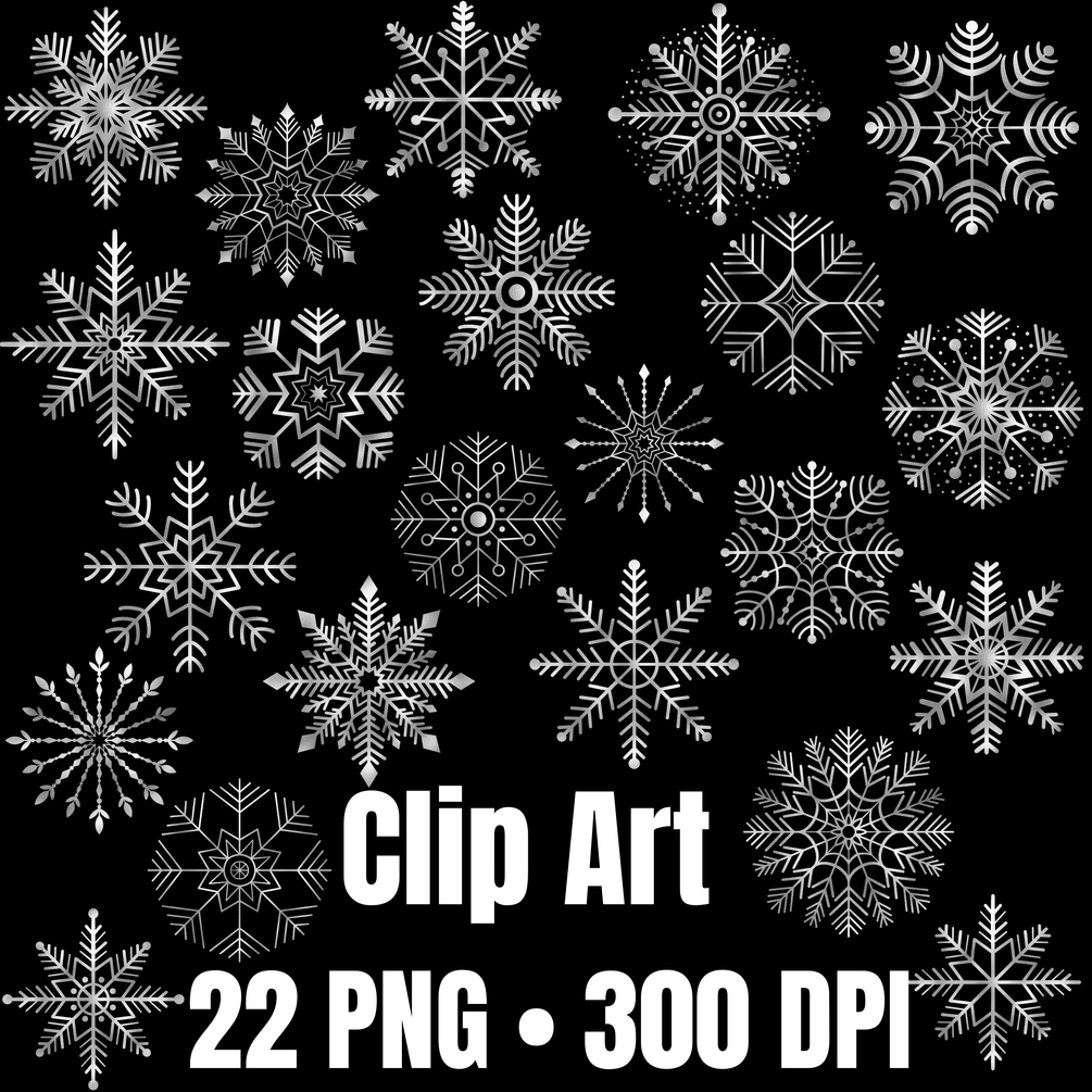 Clip Art, PNG files, 22 Silver foil Snowflakes