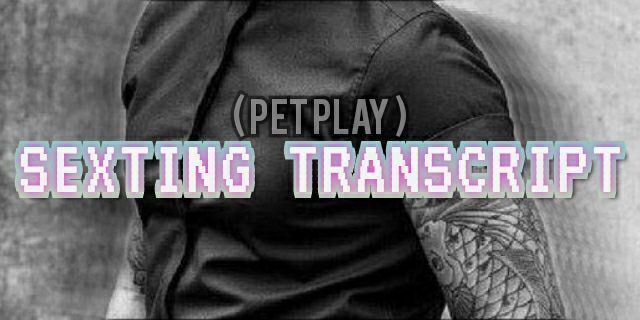 Sexting Transcript: Pet-Play Edition (Experimental)