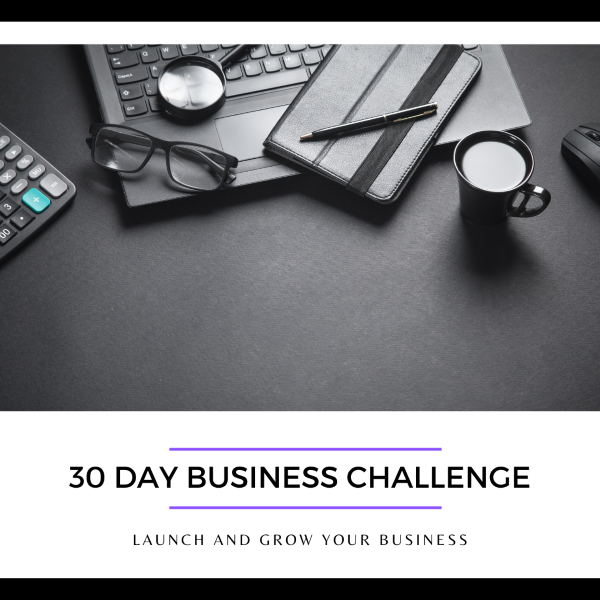 30 Day Challenge - Ultimate Startup Bundle *Special