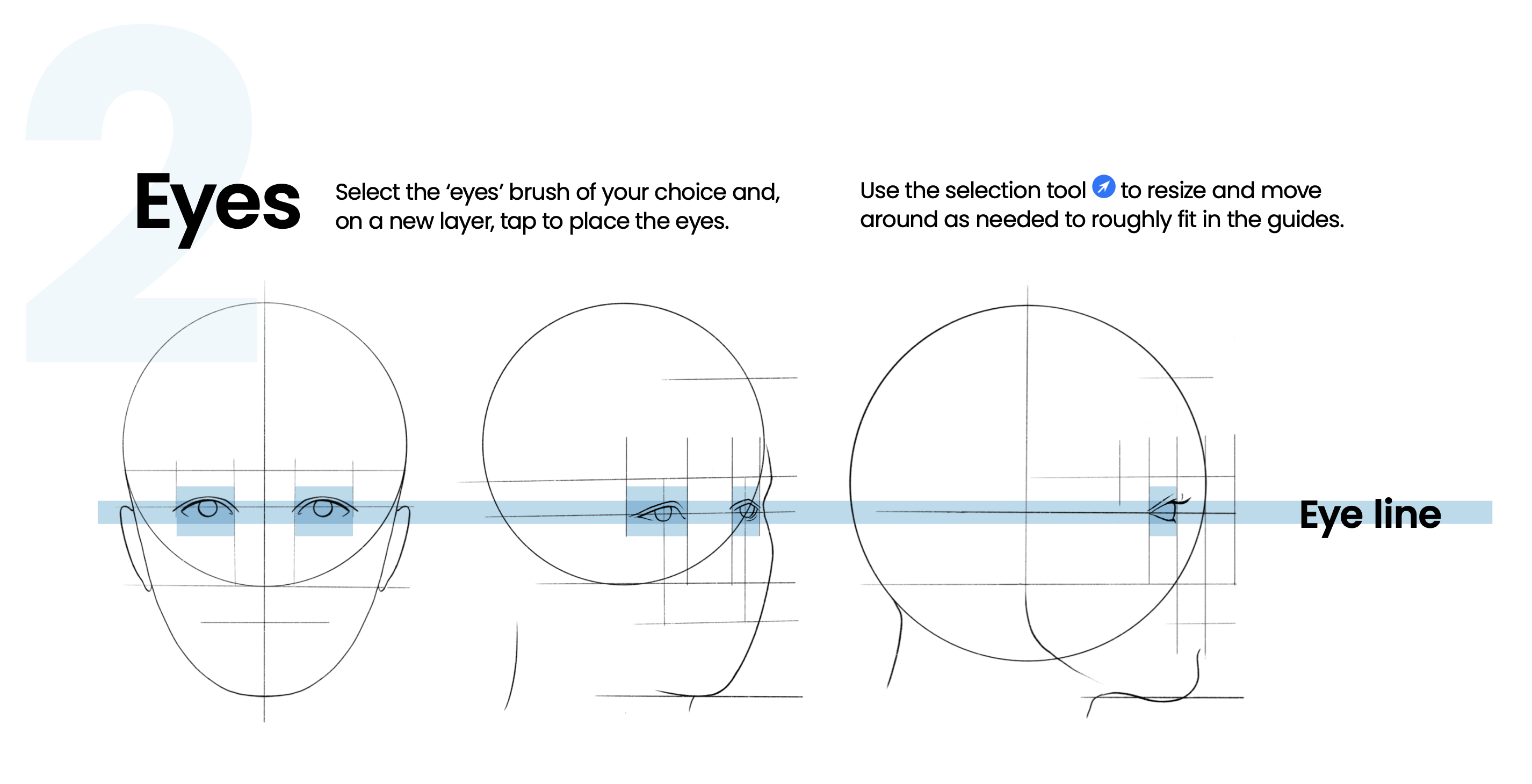 Ultimate Portrait facial Brushes Bundle for Procreate
