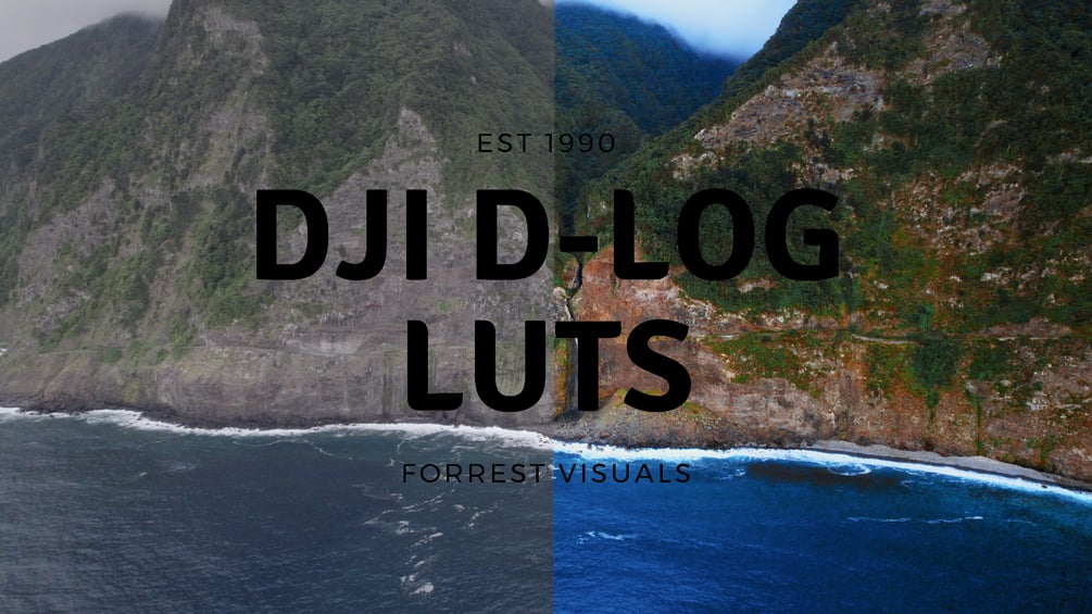 DJI D-LOG CONVERSION LUTS