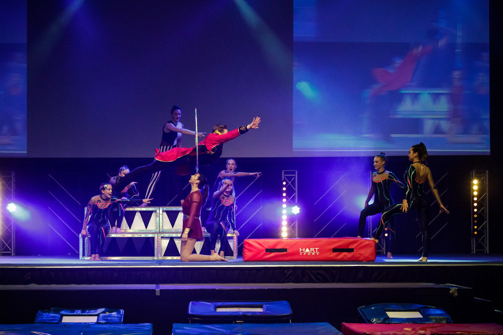 PERFORMANCE TEAMS & STAGE ACTS