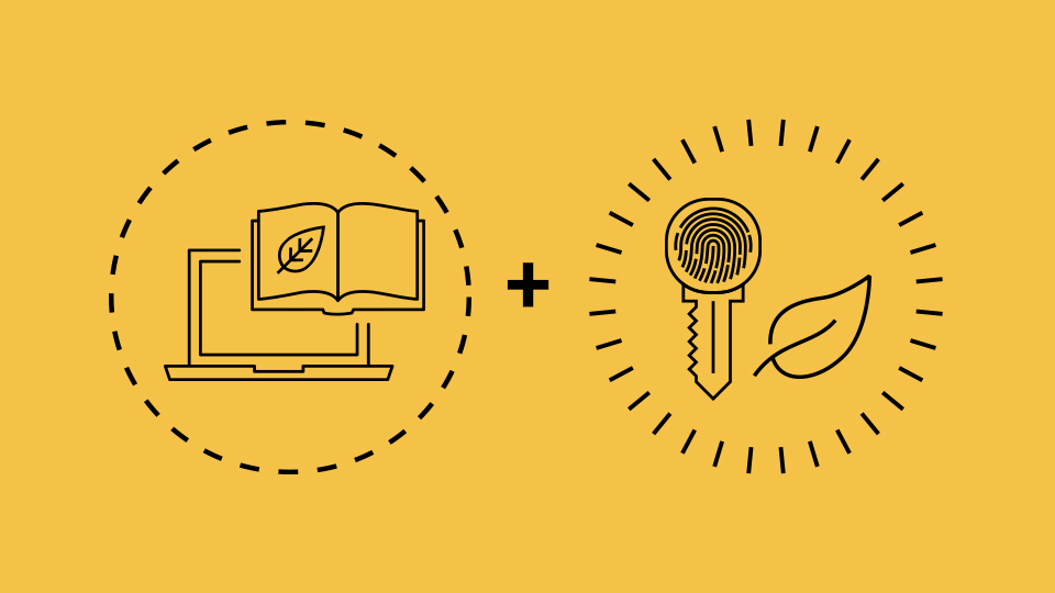 Learn Spring + Learn Spring Security - Team License