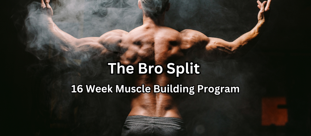 Bro Split - Muscle Building Program
