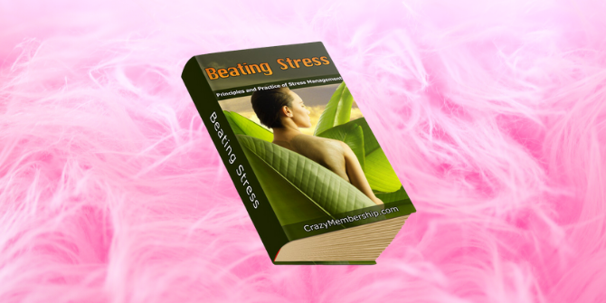 BEATING STRESS – PRINCIPLES AND PRACTICES OF STRESS MANAGEMENT