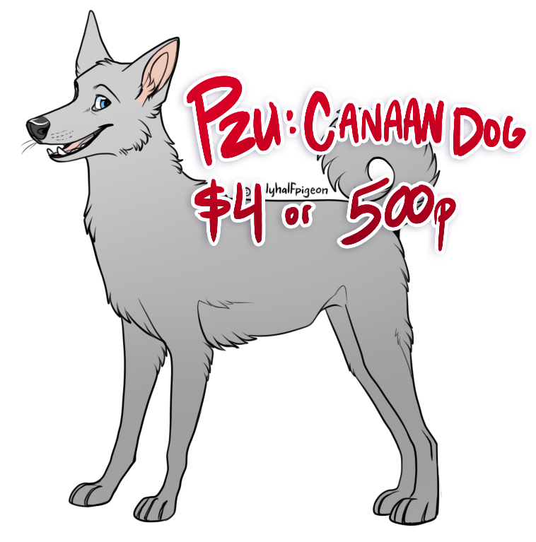 Canaan Dog