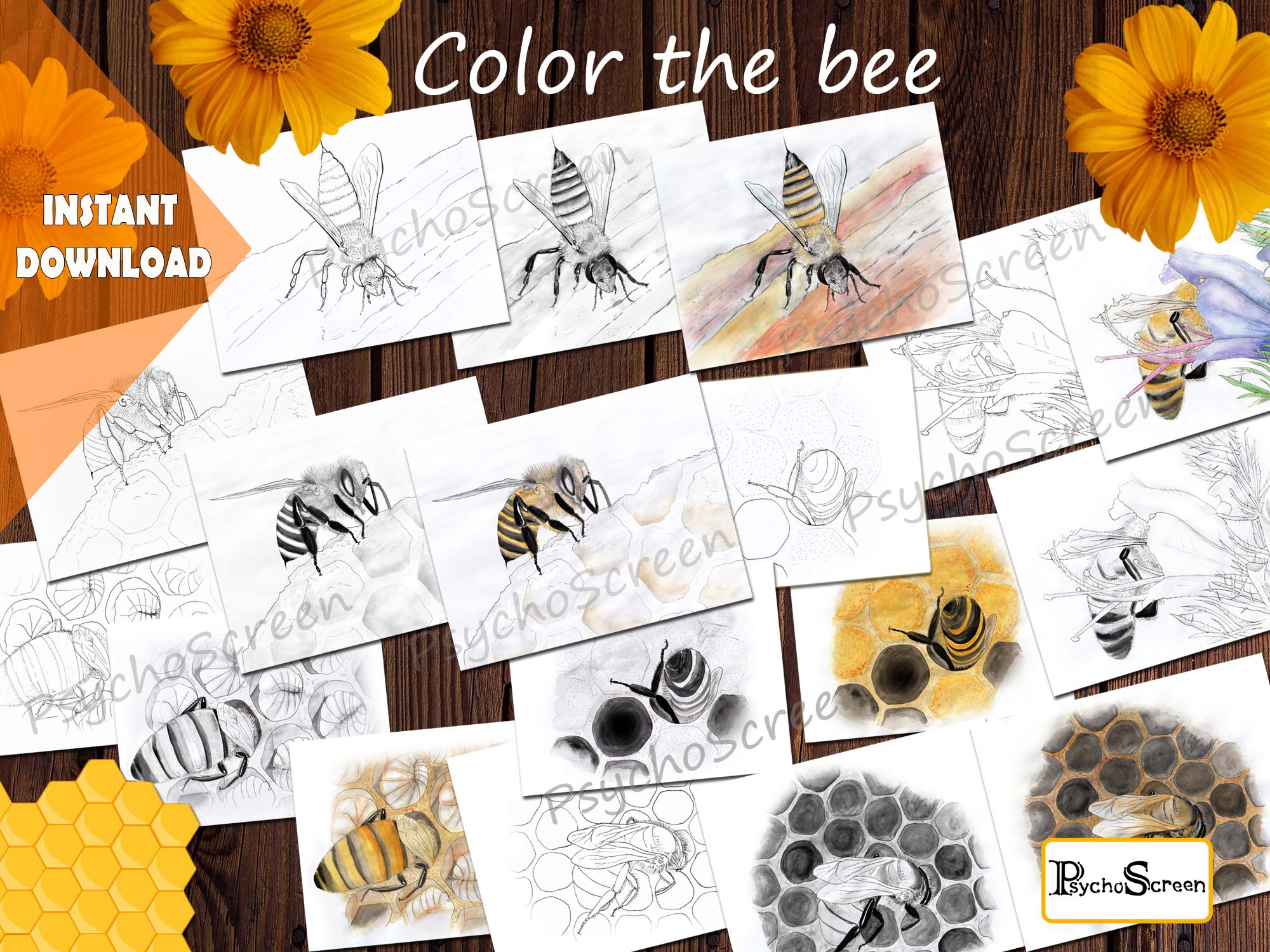 HONEY BEE Learning material, Printable set for coloring and learning ...