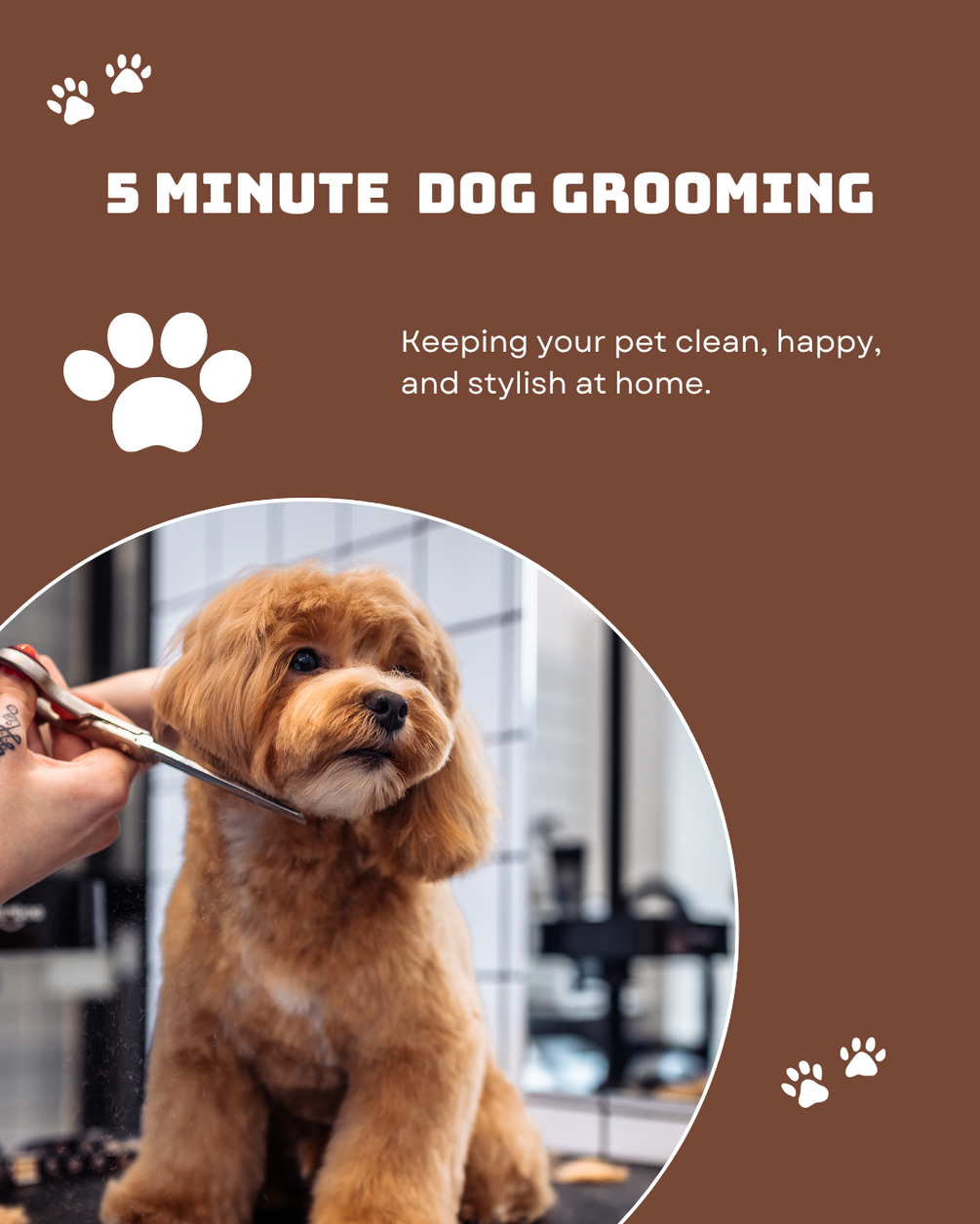 5 Minute Complete Basic Dog Grooming Tutorial