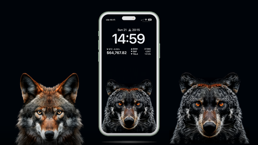 Bolf | Forty-Three and Forty-Four