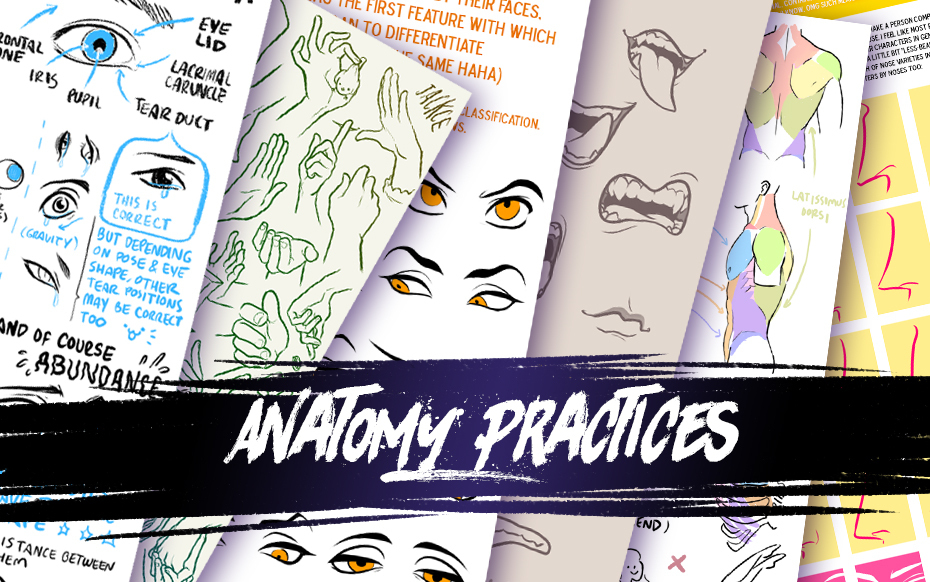Anatomy drawing practices