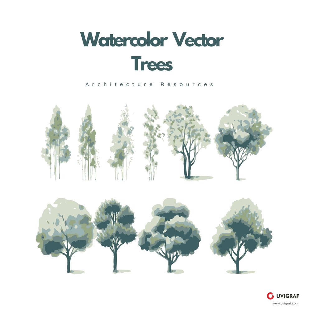 Watercolor Vector Trees – Hand-Painted Botanical Illustrations | t1.78