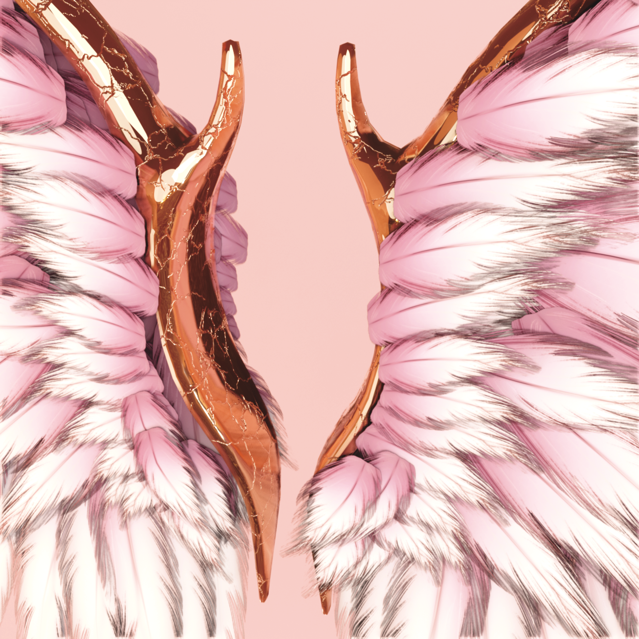 [ 3D asset / VRCHAT ] Animated Wings Free