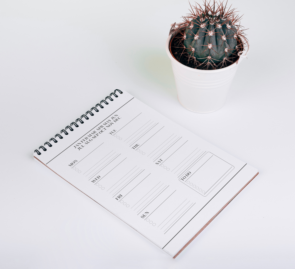 Minimalist Weekly Planner | A4 Printable Undated Template (PDF)