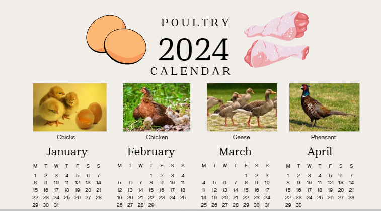 2024 Poultry Calendar