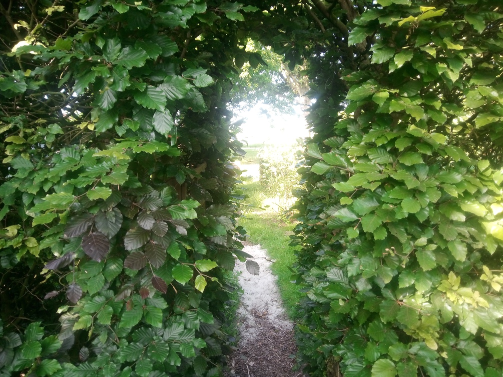 Earth Soldier Unveiled