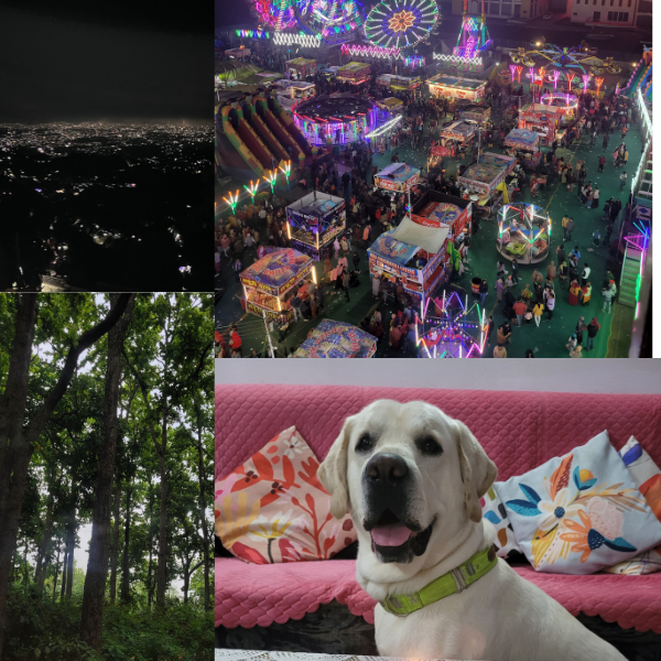 Spooky Pookie Designs