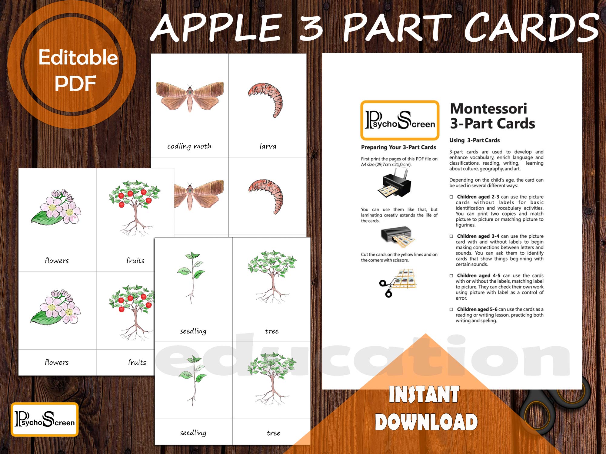 APPLE unit study, anatomy, life cycle and MOTH poster