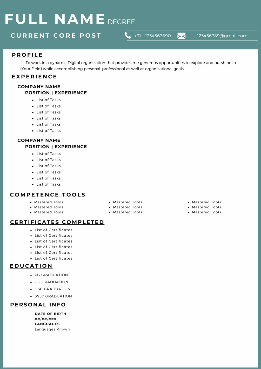 Professional Resume 01