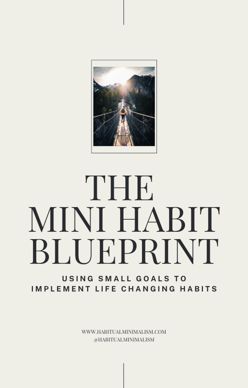 The Mini Habit Blueprint