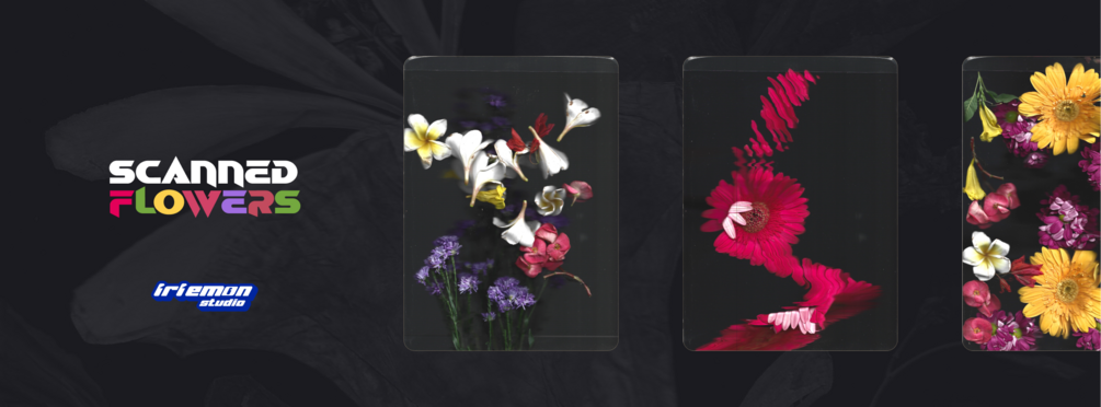 Scanned Flowers | Pressed Flowers PDF | 11 Images