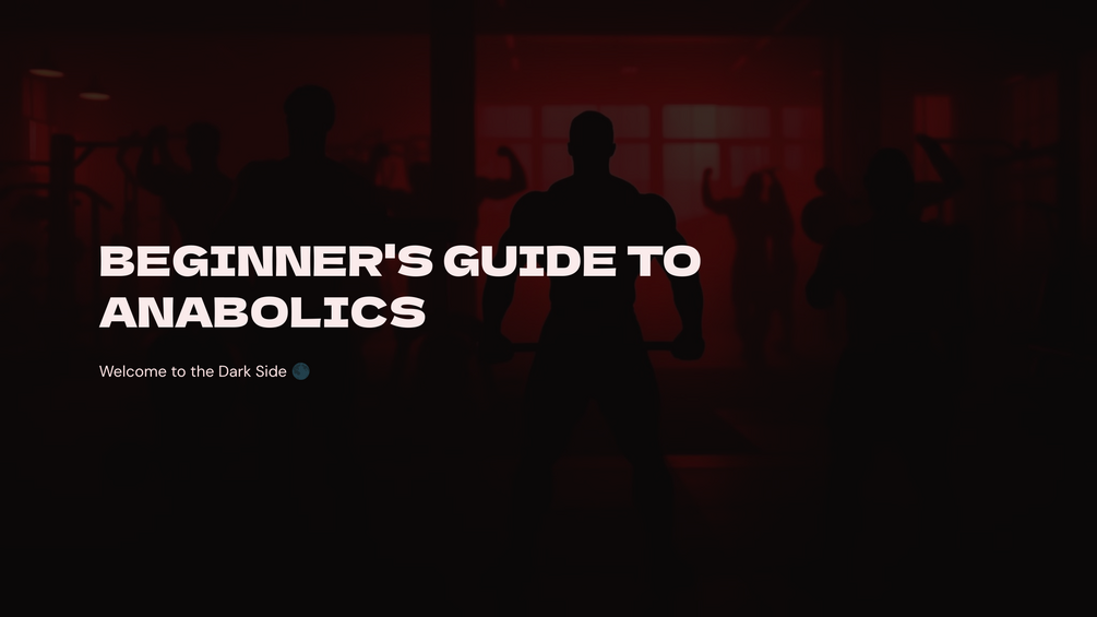 Beginners Guide To Anabolics