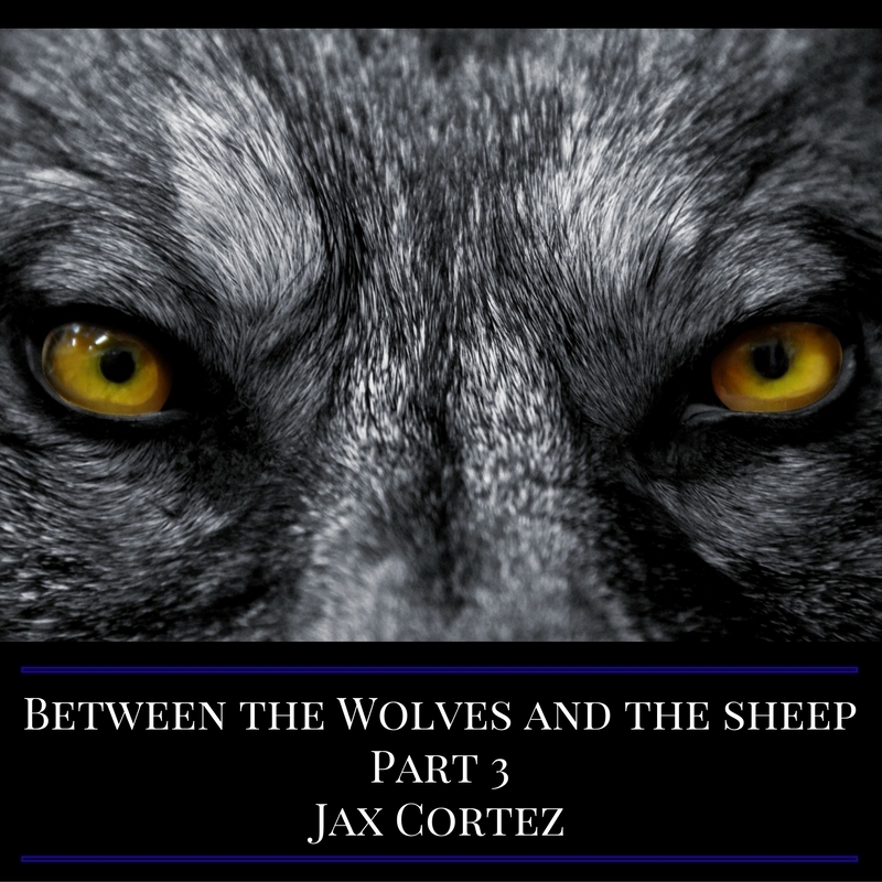 Between the Wolves and the Sheep, Part 3
