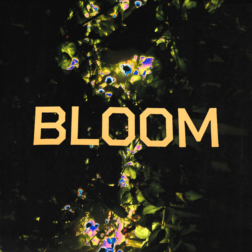Bloom - Analog Inspired Presets for Ableton Drift