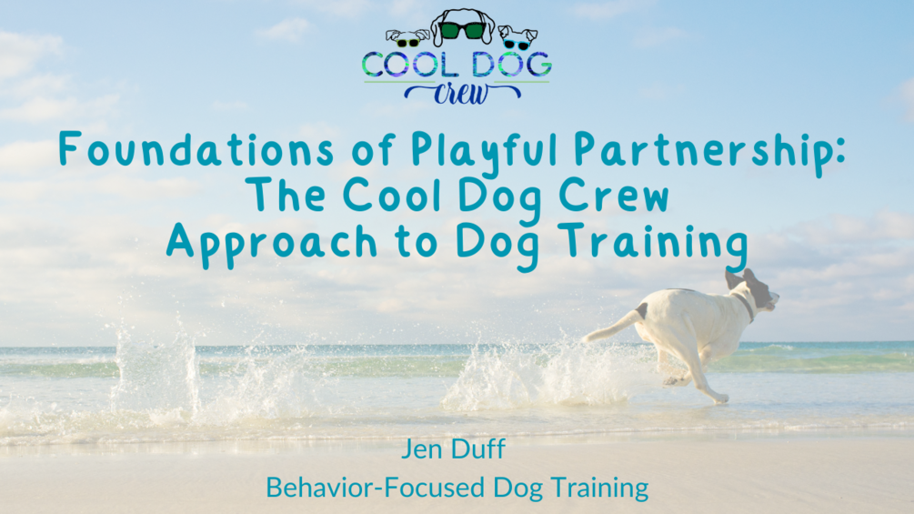 Foundations of Playful Partnership: The Cool Dog Crew Approach to Dog ...