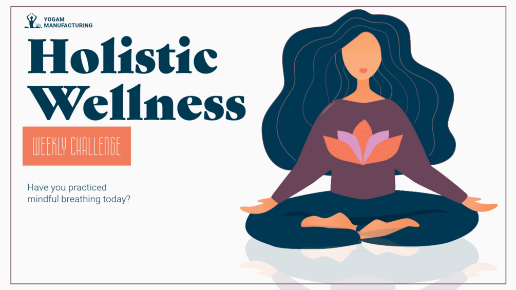 Holistic Wellness Toolkit
