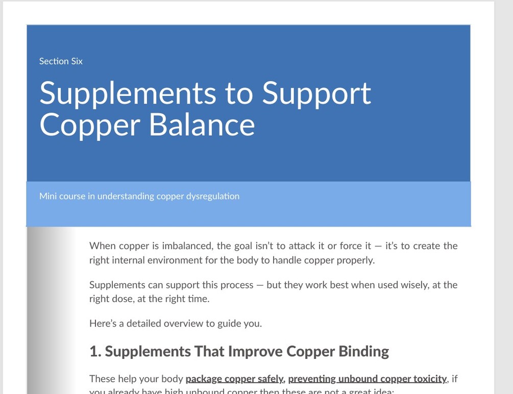 Understanding Copper Dysregulation - Mini Course - Balance your health for $3.5 - Section Six ...