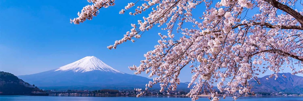 [Notion Template] Japan Travel Planner