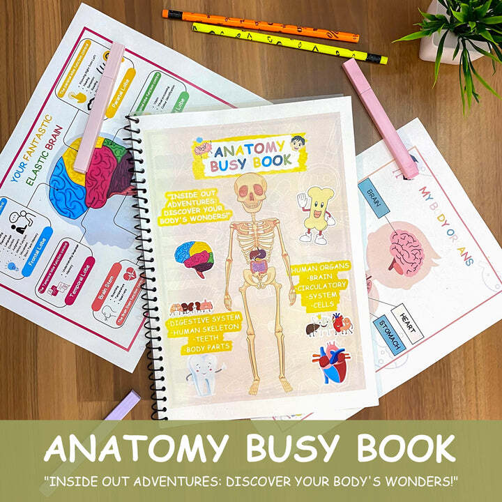 Human Anatomy Busy Book Printable Preschool Worksheets | Homeschool ...