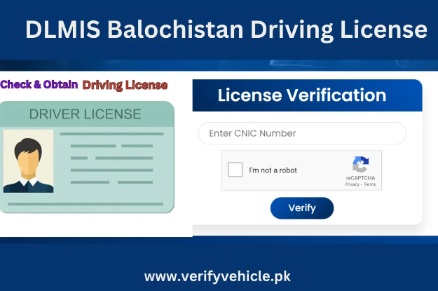 Balochistan Driving License Verification in 2024