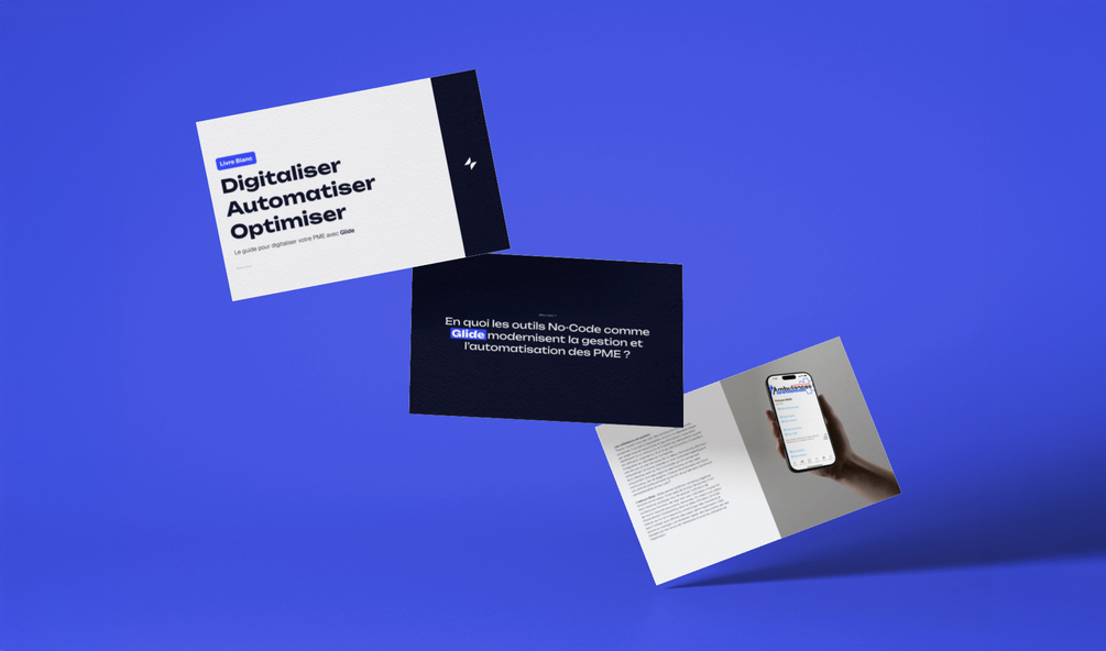 Digitaliser Automatiser Optimiser - Le guide pour digitaliser votre PME ...