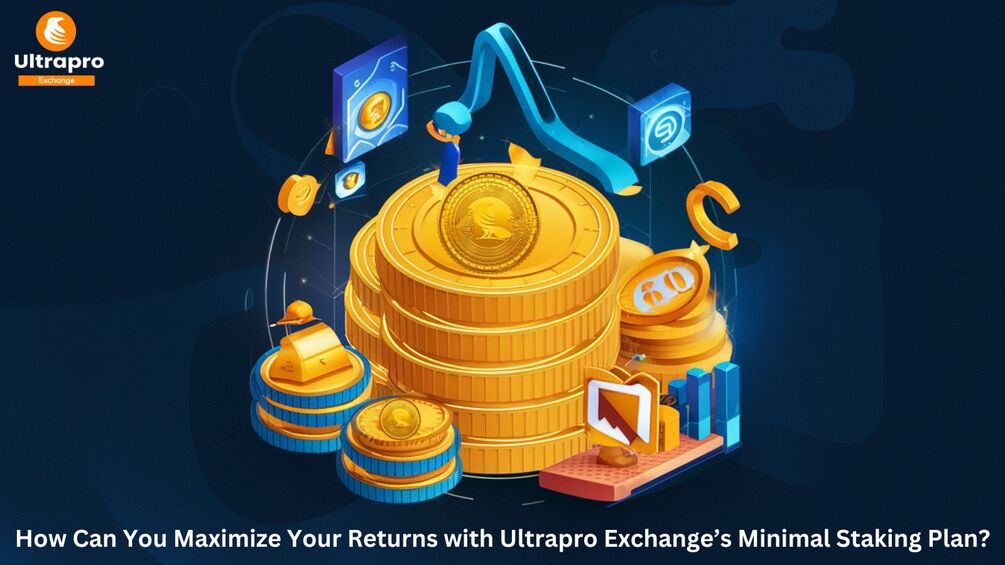 How Can You Maximize Your Returns with Ultrapro Exchange’s Minimal ...