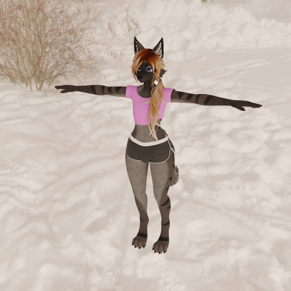 Aspen Cat Texture Bundle