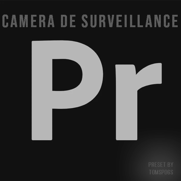 Camera de Surveillance - Preset Premier Pro