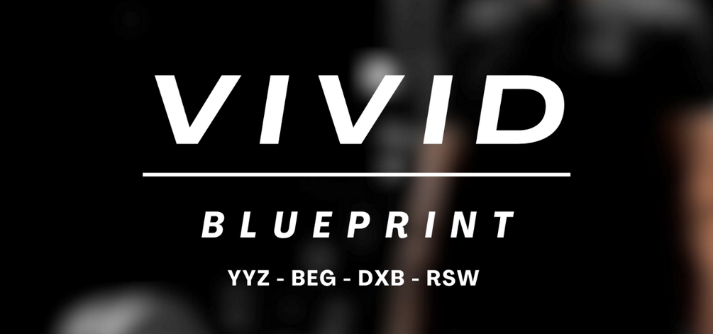 The Vivid Training Blueprint