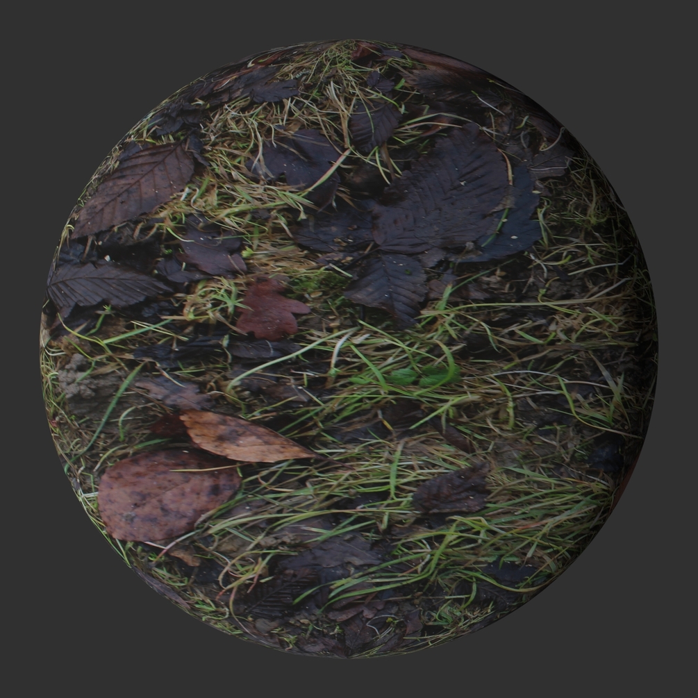 Fall Leaf Ground 3 PBR Material