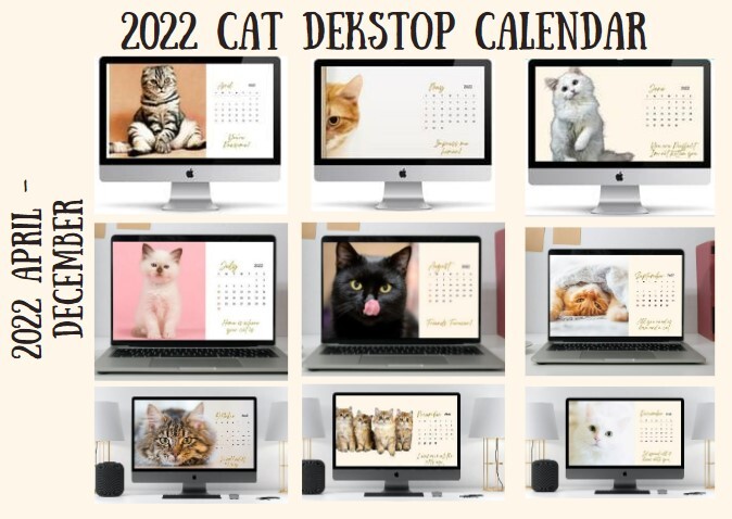PURR-fect CAT Calendar Themed Desktop / PC Wallpaper - HD Quality