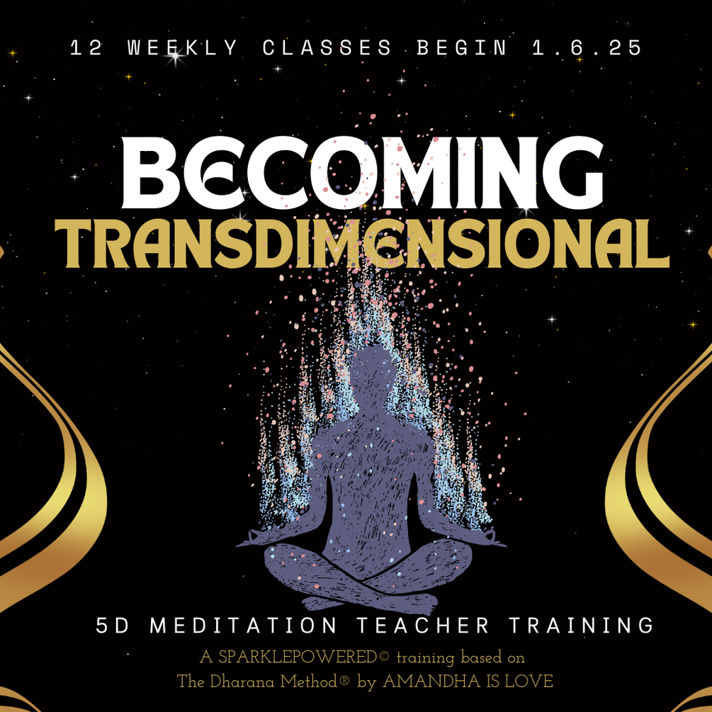 Becoming Transdimensional: 5D Meditation Teacher Training feat. The ...