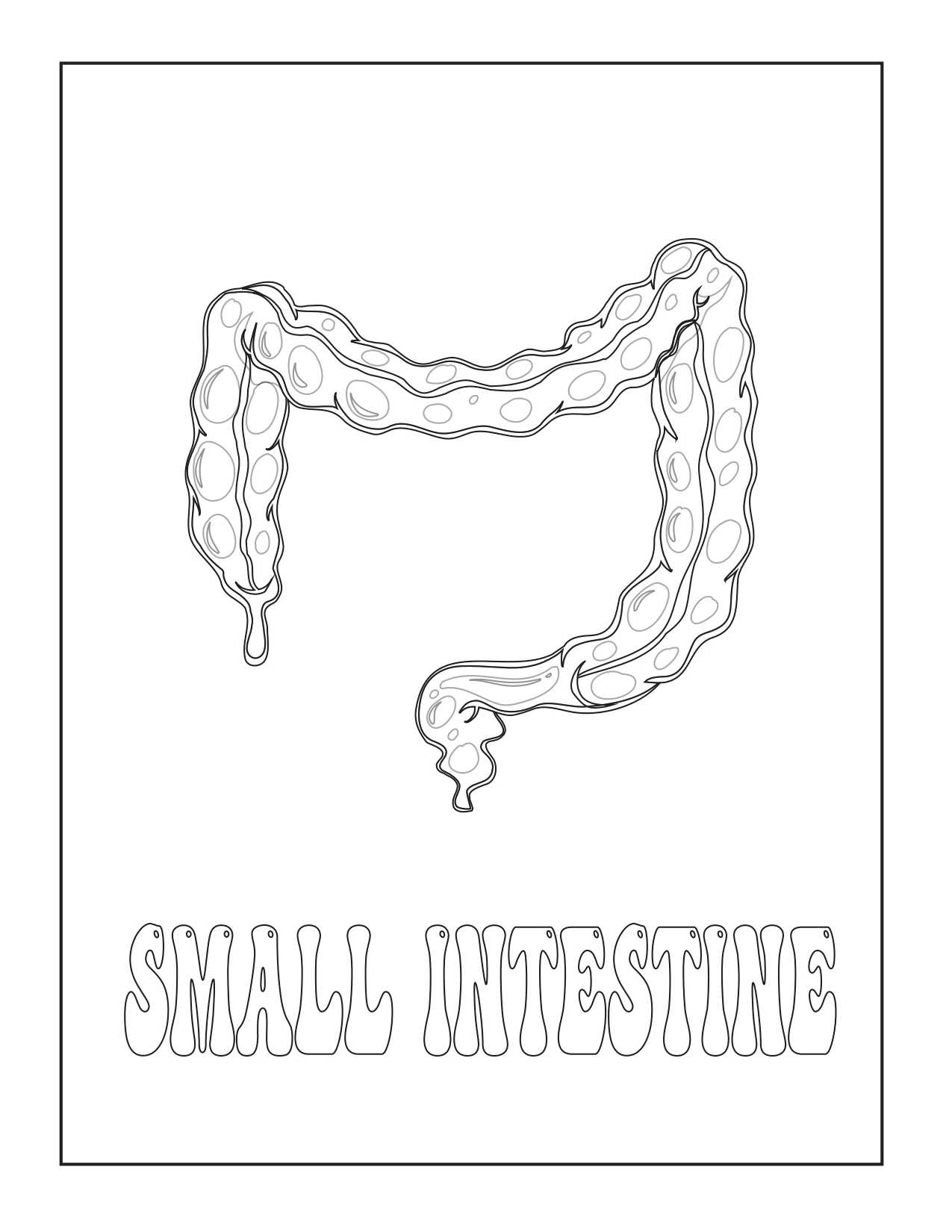 Human Body Study, Organ Coloring Sheets, Human Body Activity, Learn ...