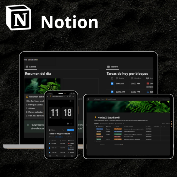 Notion Starter Pack | Deluxe Edition