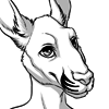 Kangaroo Icon Base (with PSD)
