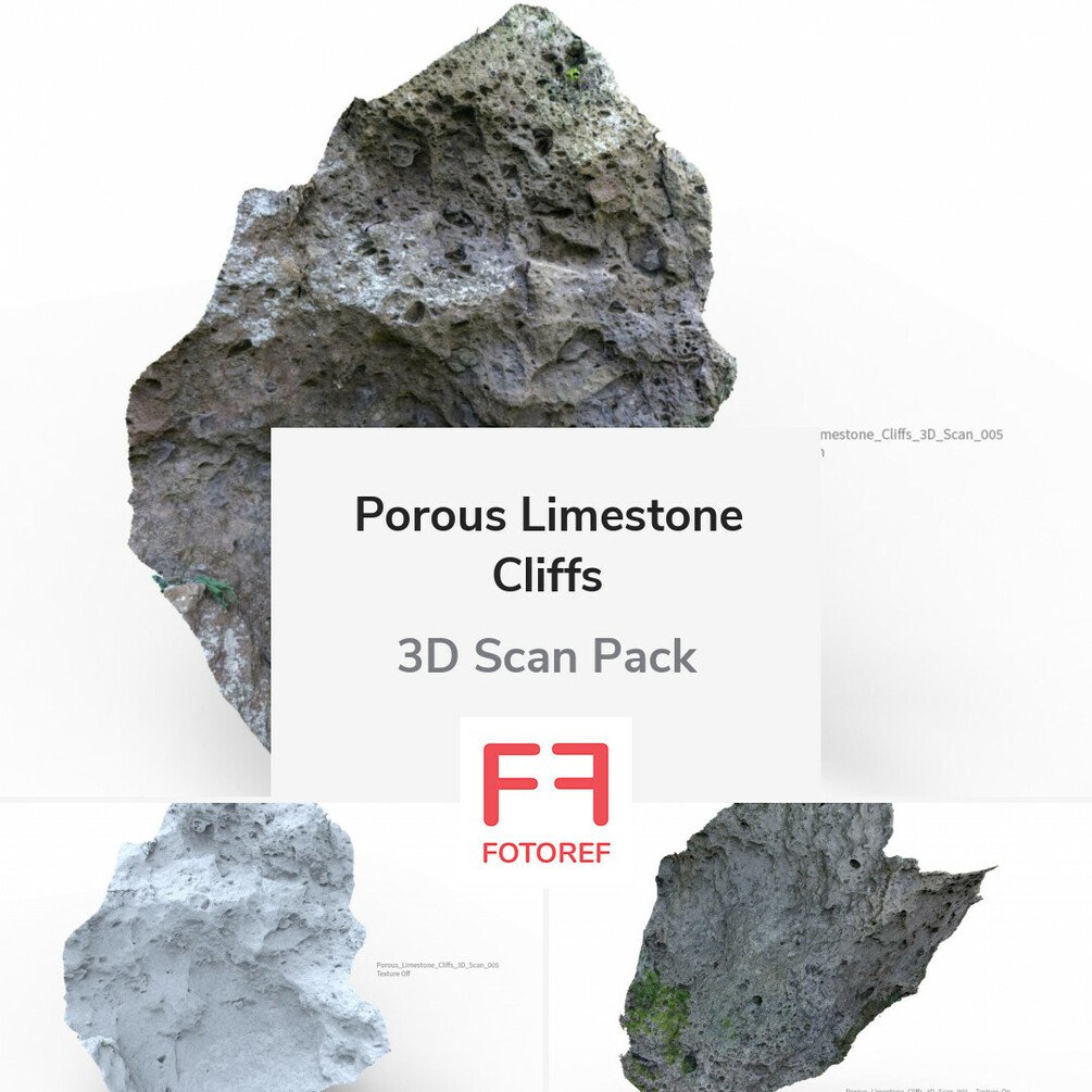 5 3D scans of Porous Limestone Cliffs