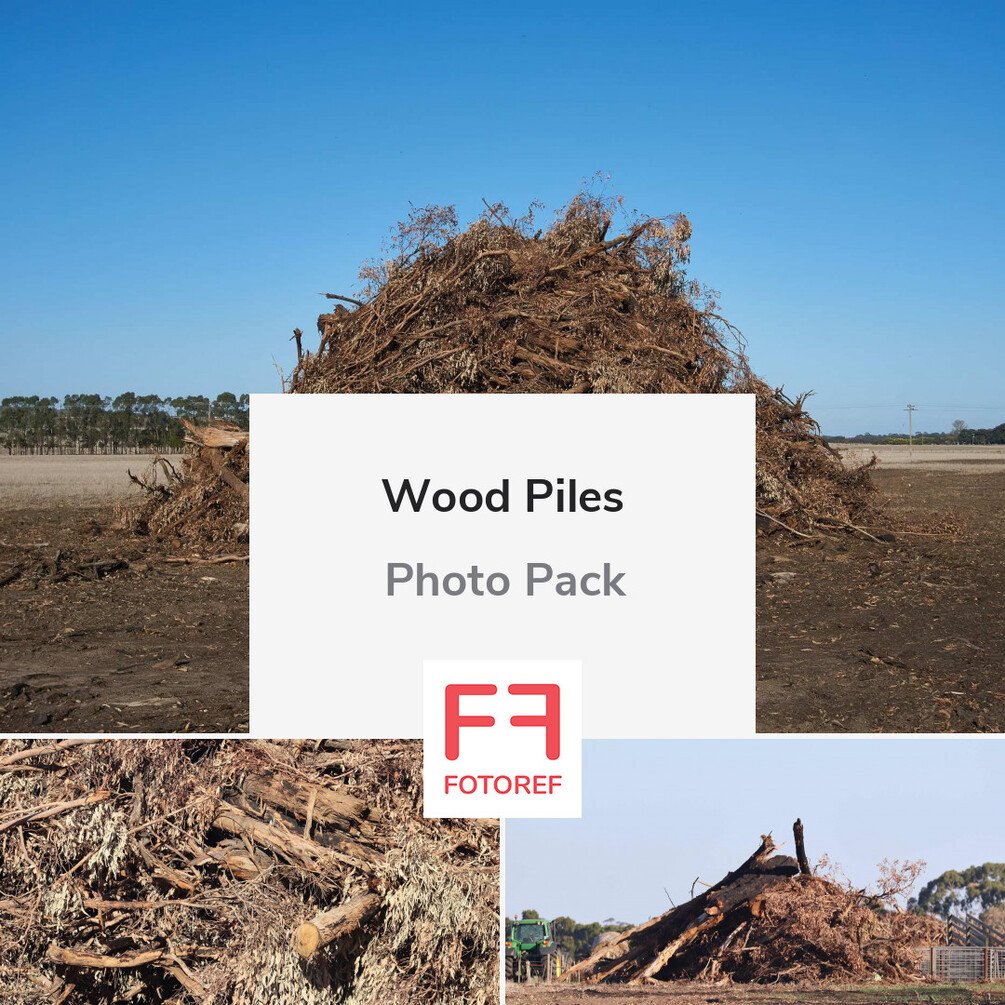 34 photos of Wood Piles