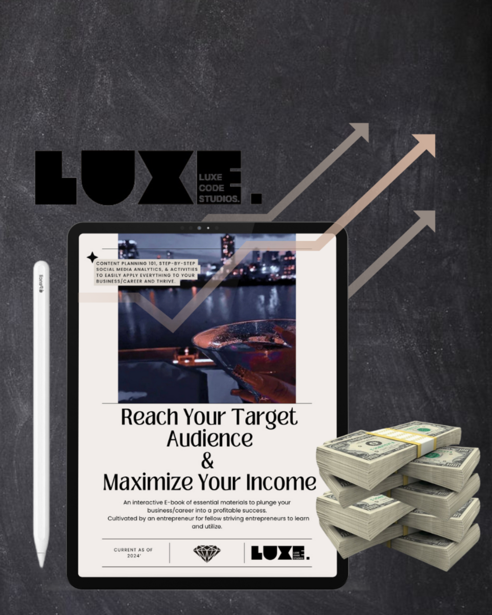 Interactive E-Book "Reach Your Target Audience & Maximize Your Income"