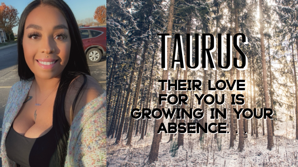 TAURUS ♉️ Their LOVE for you is GROWING in YOUR ABSENCE 💓 Something is ...