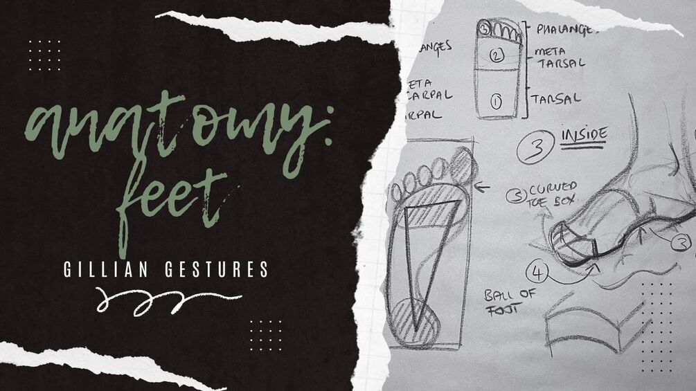 Anatomy Tutorial: Feet