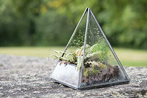 Handmade Metal and Glass Terrarium Pyramid